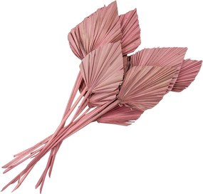 Růžová kytice sušené palmové listy - 55 cm (12ks)