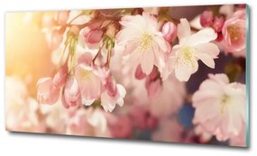 Wallmuralia Foto obraz sklo tvrzené Květy višně 100x50