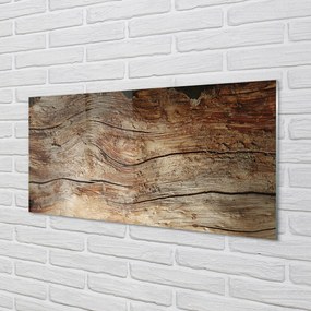 akrylový obraz Dřeva board 125x50 cm