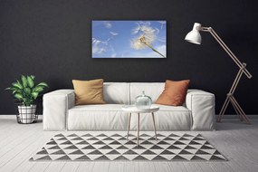 Obraz na plátně Pampeliška Rostlina 120x60 cm