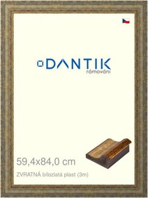 DANTIK rámeček 59,4x84 | ZVRATNÁ bílozlatá plast (Plexi Čiré)