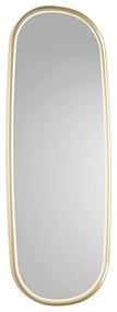 Moderní koupelnové zrcadlo zlaté včetně LED a dotykového stmívače - Geraldien