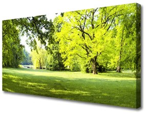 Obraz na plátně Tráva Stromy Park Příroda 140x70 cm