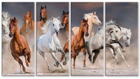 Obraz divocí koně Velikost (šířka x výška): 120x70 cm