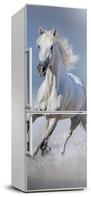 Wallmuralia Nálepka fototapeta lednička Kůň ve cvalu 60x180 cm