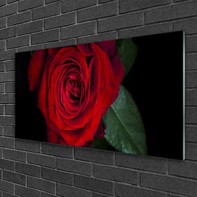 Obraz na skle Růže 125x50 cm