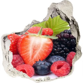 Wallmuralia Nálepka díra na zeď beton Lesní ovoce 75x75 cm