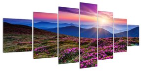 Obraz horské rozkvetlé krajiny (210x100 cm)