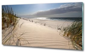 Wallmuralia Fotoobraz na skle Mřežino pláž 100x50