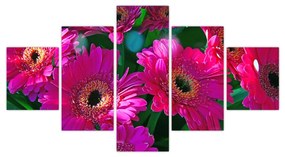 Obraz - květiny (125x70 cm)