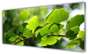 Plexisklo-obraz Větve Listy Příroda Strom 125x50 cm