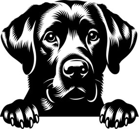 Samolepka pes Labradorský retrívr