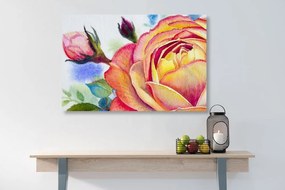 Obraz růže v růžových odstínech - 120x80 cm