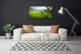 Obraz na plátně Louka Příroda 100x50 cm