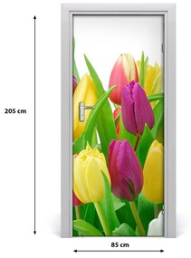 Fototapeta na dveře Květy tulipány 85x205 cm
