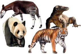 MINDOK HRA Fauna *SPOLEČENSKÉ HRY* mn066