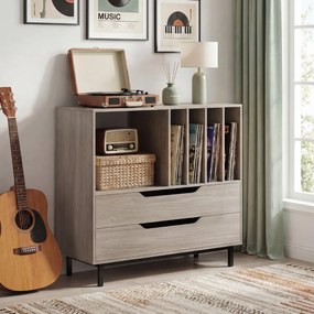 Costway Stojan na gramofon s 4 vinylovými přihrádkami a 2 zásuvkami