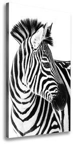 Wallmuralia Vertikální Foto obraz na plátně Zebra na sněhu 50x100