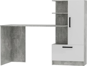 Počítačový stůl Standard, industriál / nymfea alba, pravá montáž