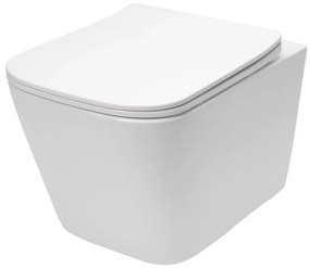 Rea RAUL - závěsná WC mísa 49x34 s pomalu-padajícím sedátkem, bílá, REA-C9660