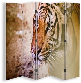 Ozdobný paraván, Portrét tygra - 180x170 cm, pětidílný, obustranný paraván 360°