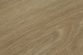 IVC Commercial, PVC podlaha - lino Logitex Ultimate 55 Elias T47, na míru, šíře 2m,4m, hnědá, filc, chodba / předsíň