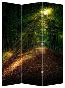 Paraván - Lesní cesta (126x170 cm)