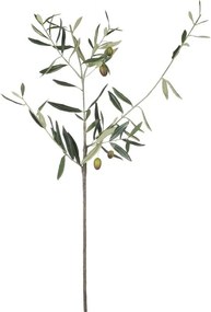 Olivová větvička FLORA, zelená