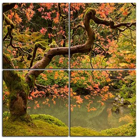 Obraz na plátně - Červený javor podzim - čtverec 3241E (60x60 cm)