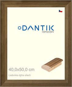 DANTIK rámeček 40x50 | LEDVINKA dýha ořech (Plexi Čiré)