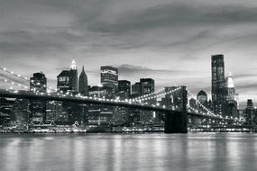 Postershop Fototapeta vliesová: Brooklyn Bridge - 104x152,5 cm