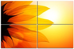 Obraz na plátně - Slunečnice květ 1201E (120x80 cm)