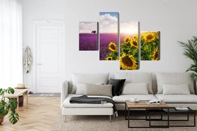 Vícedílný obraz Levandulová A Slunečnicová Pole 3D Nedostatek Nedostatek Plátno Canvas 240x150