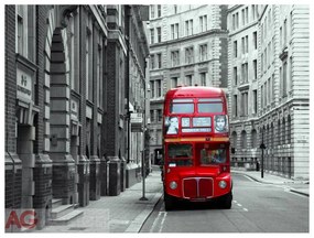 Fototapeta vliesová čtyřdílná Autobus