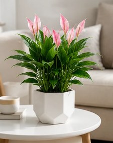 umělá květina, květ lilie, výška 47 cm, plast, jemně růžová, Dekorino UK20260018