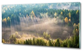 Wallmuralia Fotoobraz na skle Mlha v lese 100x50