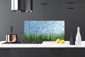 Skleněné obklady do kuchyně Tráva Voda Příroda 125x50 cm