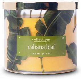 Colonial Candle svíčka Tropical Cabana Leaf, 411 g