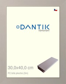 DANTIK rámeček 30x40 | FC Bílá plochá (Plexi Čiré)