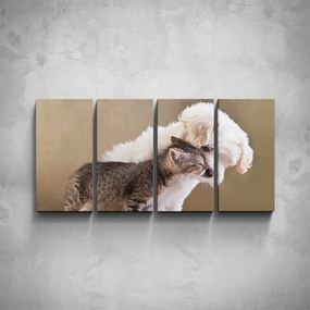 4-dílný obraz - Pes a kotě - PopyDesign