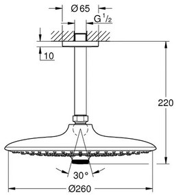 Grohe Euphoria Hlavová stropní sprcha 26461000