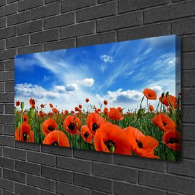 Obraz na plátně Louka Máky Květiny 125x50 cm
