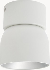 Stmívatelné stropní svítidlo Pitcher