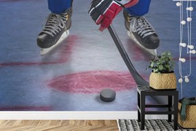 Fototapeta Hráč Ledního Hokeje Samolepící tapety 450x300