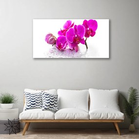 Obraz na plátně Květiny Rostlina Příroda 100x50 cm