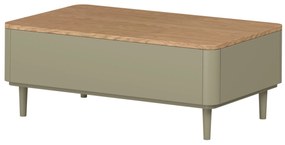 Konferenční stolek Elivo 100 cm na nožkách - eukalyptus / dub baltic dune