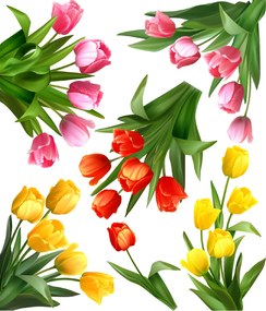 PIPPER. Samolepka na zeď "Tulipány"
