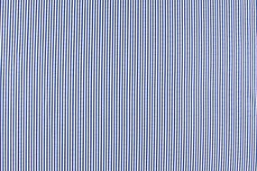 Krepové povlečení V kapradinách s pruhem - bílomodrá Velikost: 140 x 200 + 70 x 90