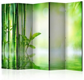 Paraván - Green Bamboo II [Room Dividers]