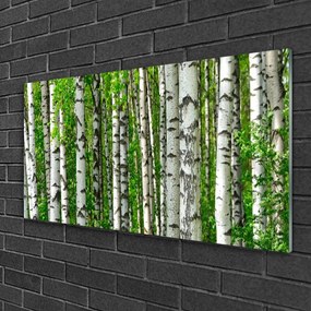 Obraz na skle Les Rostlina Příroda 120x60 cm